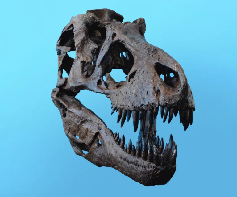 The Mighty T-Rex Brain with Dr. Suzana Herculano-Houzel… | Templeton ...